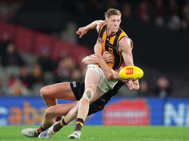 Hawk Frost banned on AFL match review | Campaspe News