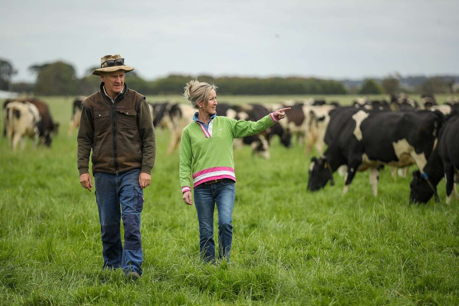 Grants available for innovation | Dairy News Australia