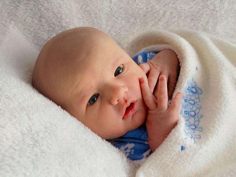 Whooping cough outbreak 'well overdue', experts say | Country News