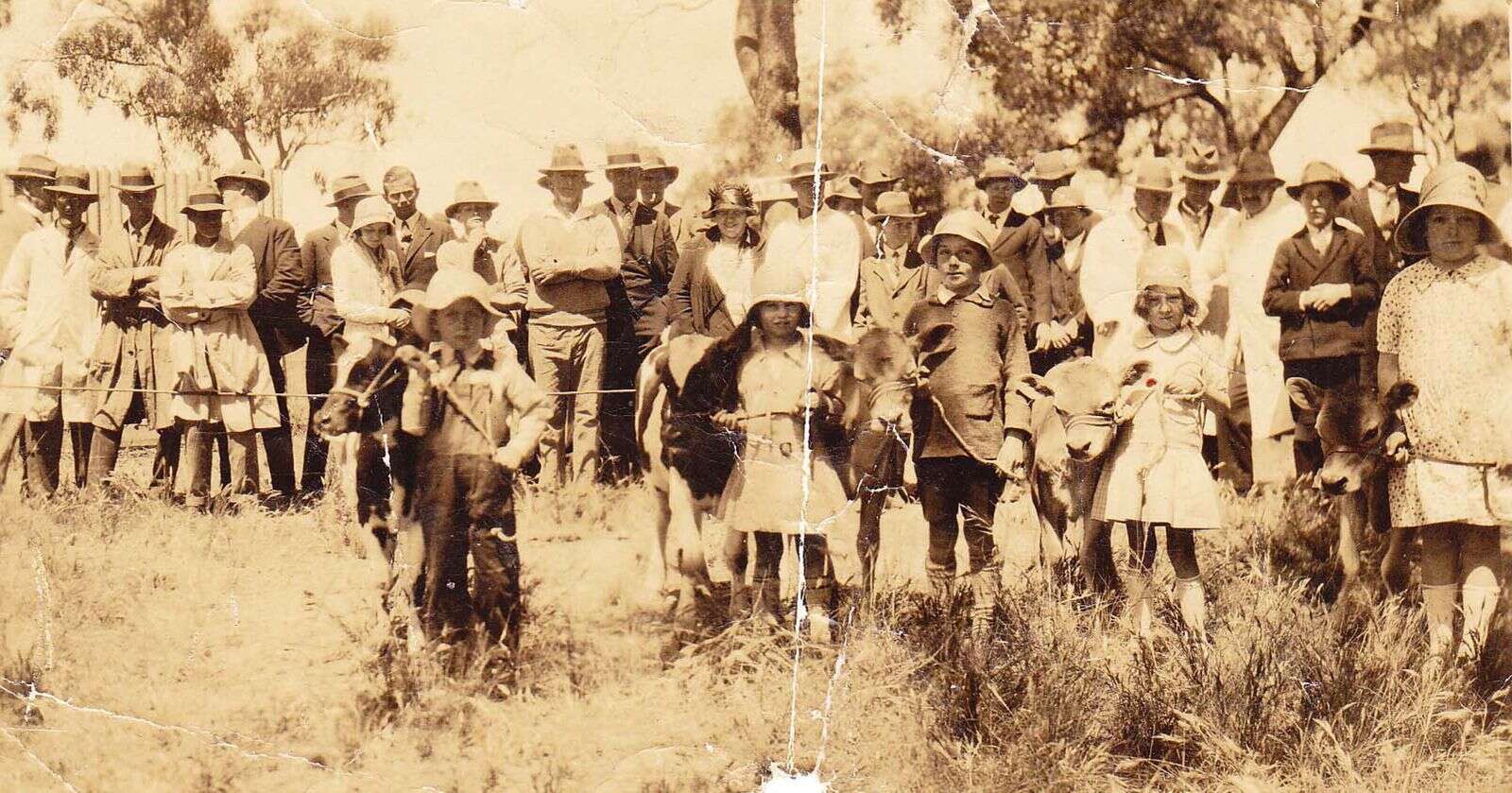 Looking Back - 1931 Kyabram Spring Show | Kyabram Free Press