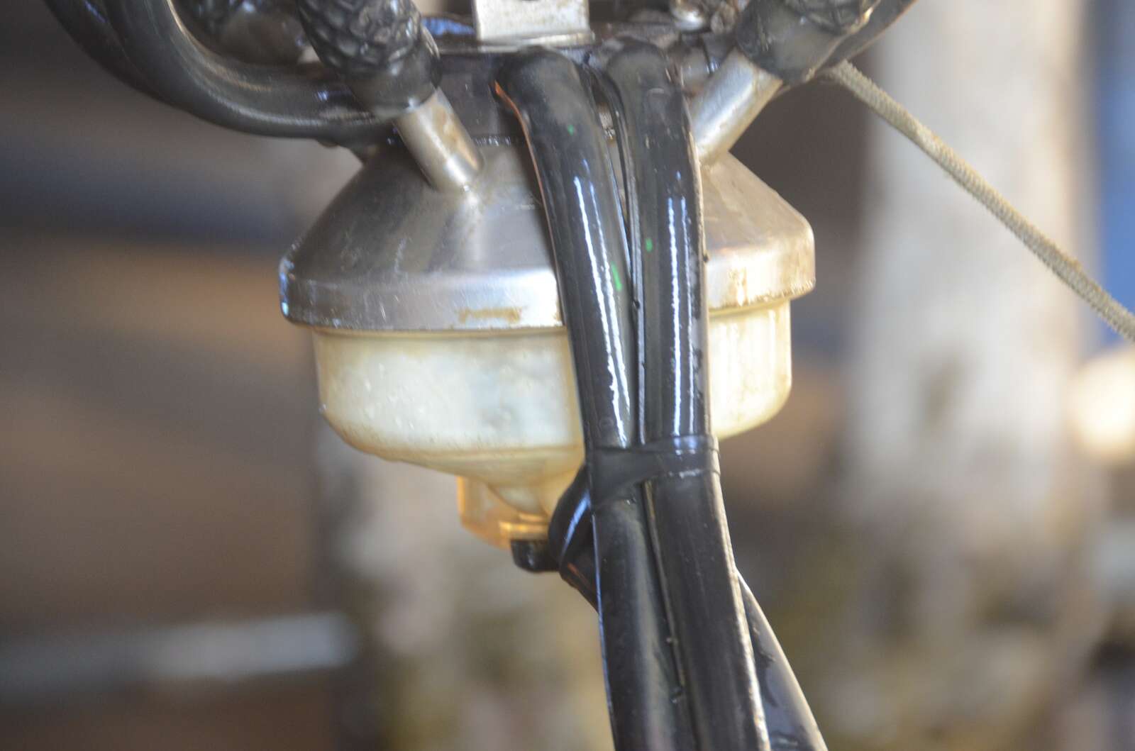 Cream of the quality crop | Dairy News Australia