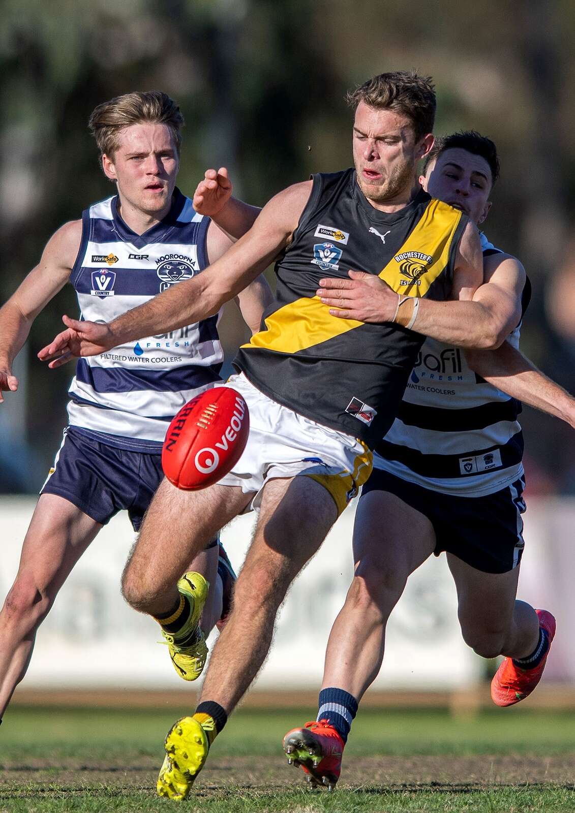CAMPASPE FOOTY SHORTS | Seymour Telegraph