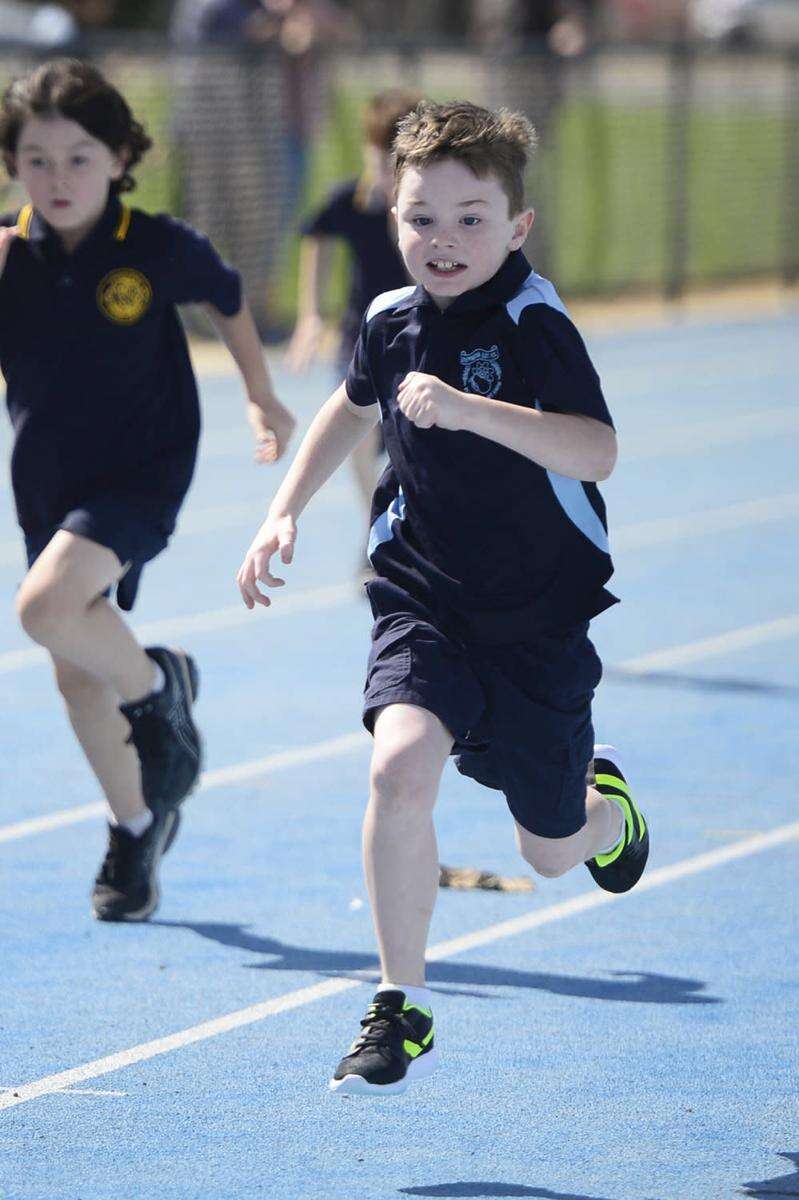 East Goulburn Primary School Sports Association athletics carnival ...