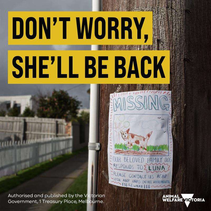 Keep your dogs on your property | Riverine Herald