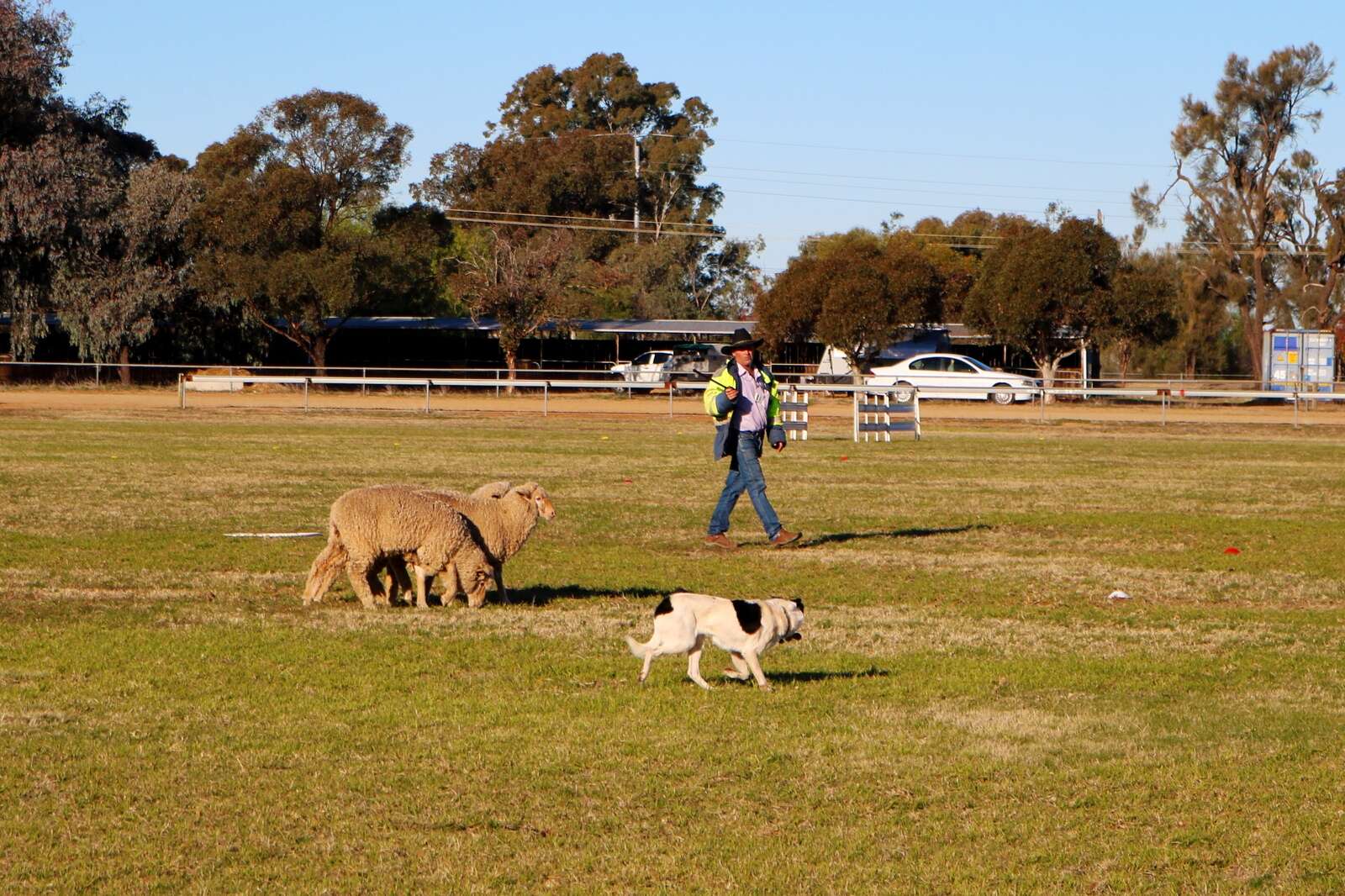 Famous pair win in Finley | Southern Riverina News