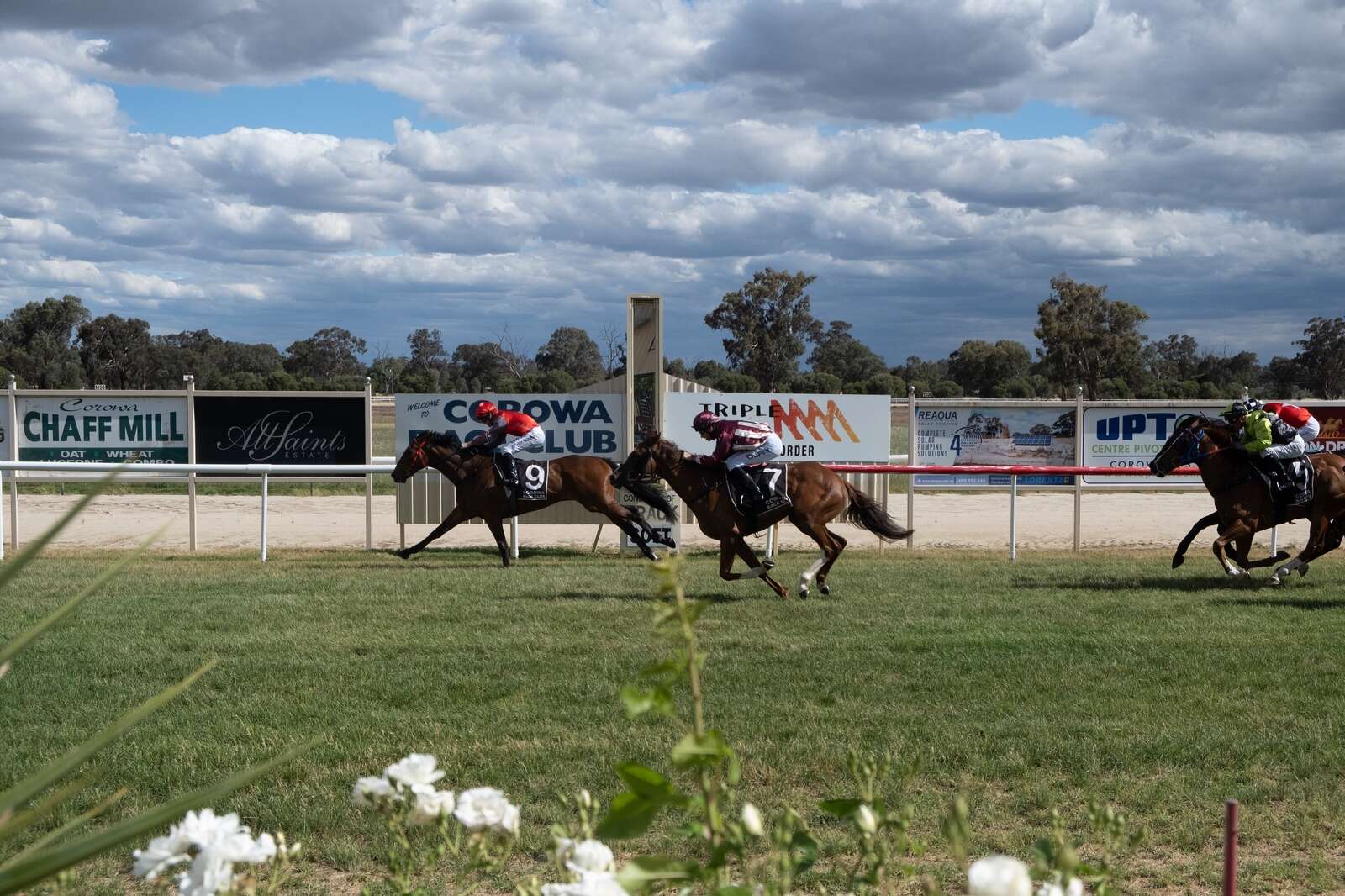 Experience the thrill of the Corowa Cup | Dairy News Australia