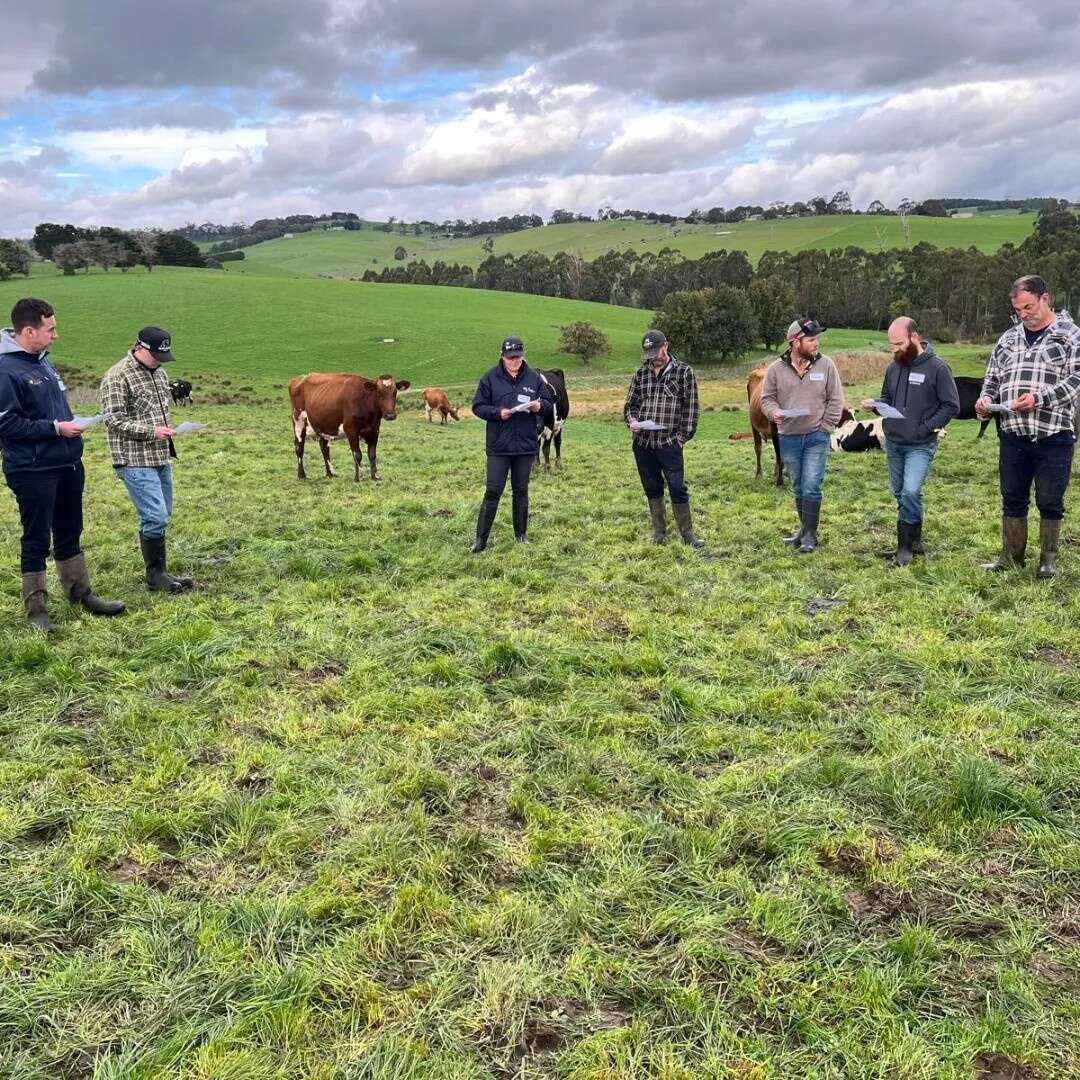 Digging into pasture basics | Dairy News Australia
