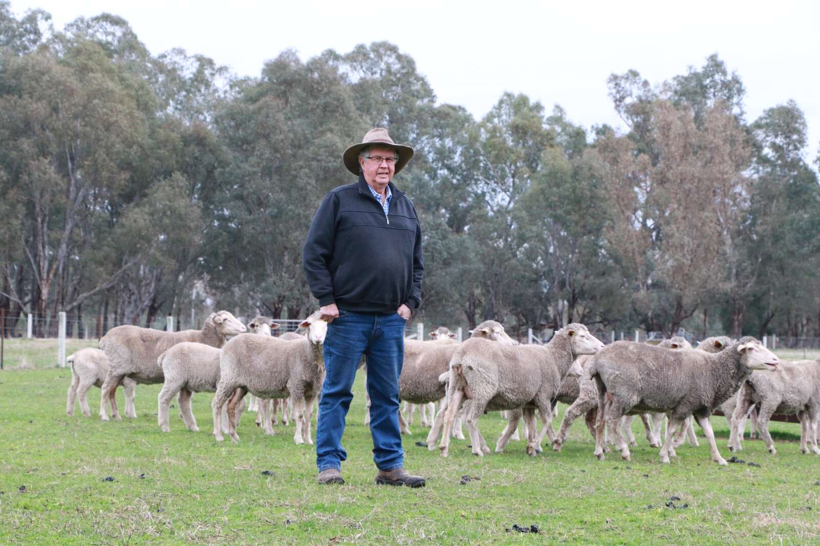 From breeder to ‘jackaroo’ | Country News