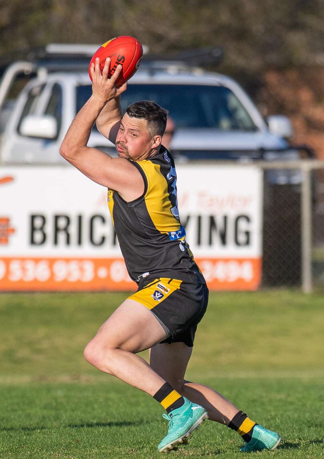 Finals time for Tigers teams | Country News