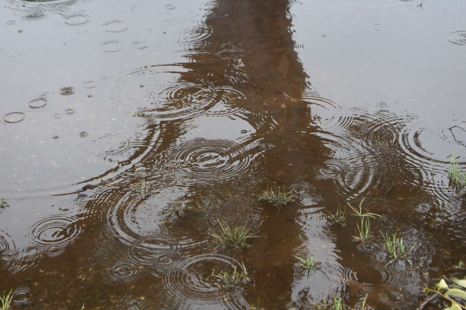 Rainy June welcome after dry autumn | Country News