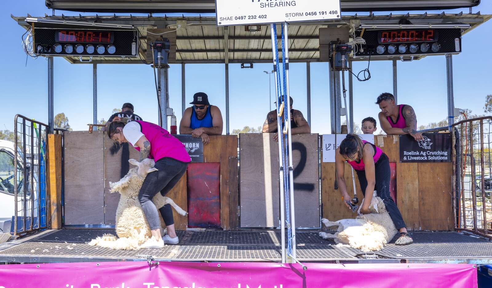 Shearing comp coming up quick | Dairy News Australia