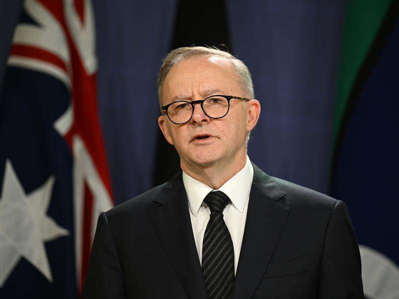 Albanese's promise on nature destruction | Country News