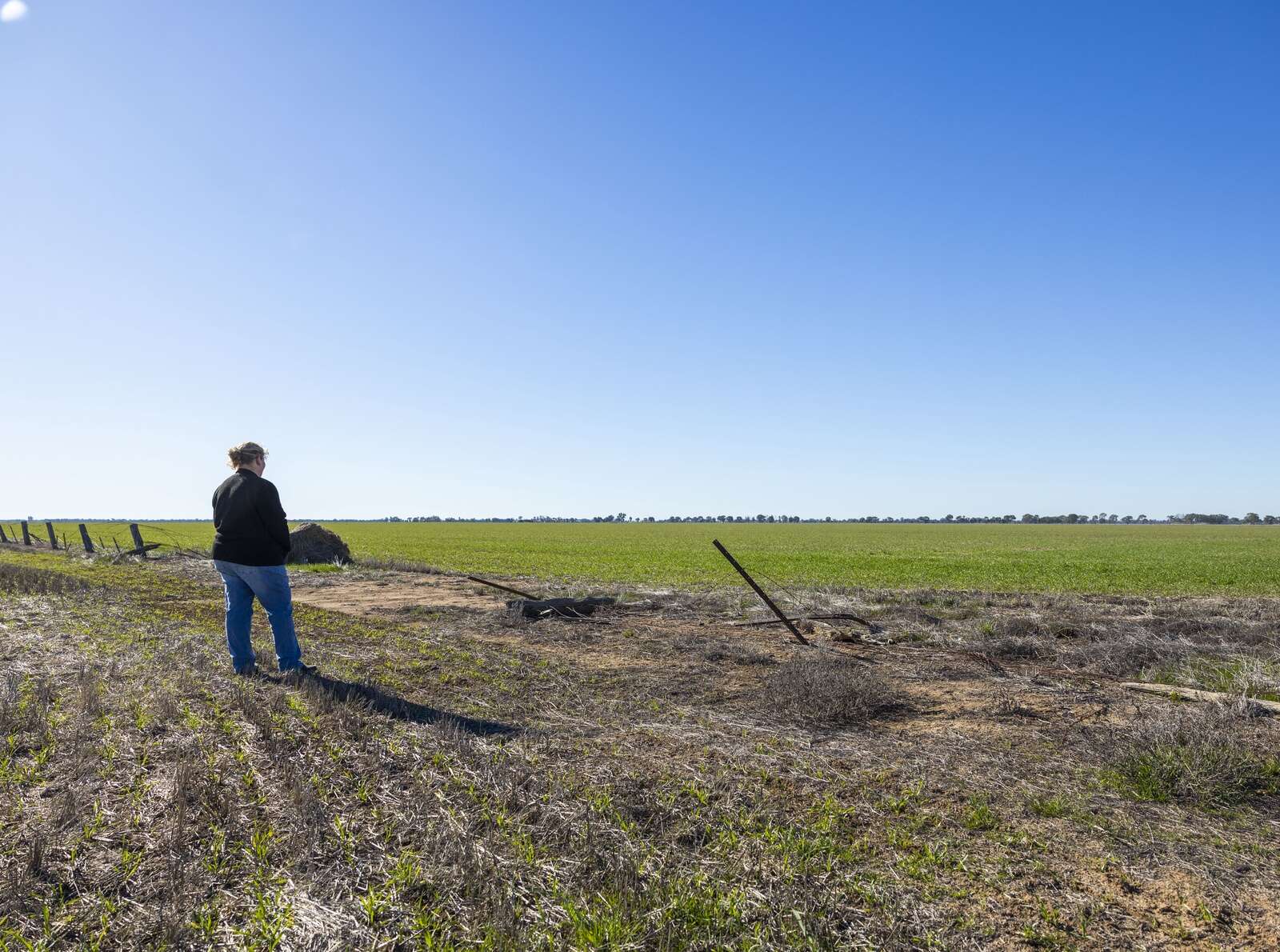 Nanneella locals question the proposed wind farm | Dairy News Australia