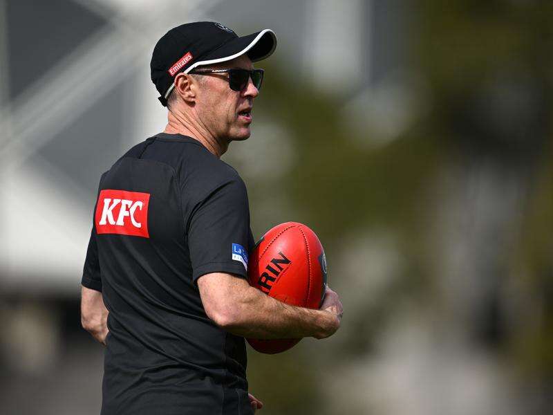 Unbeaten Saints a concern for Collingwood coach McRae | Dairy News ...