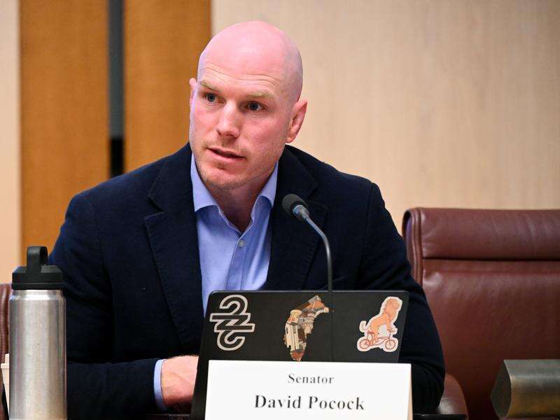 'Massive loopholes' giving lobbyists access: Pocock | Kyabram Free Press