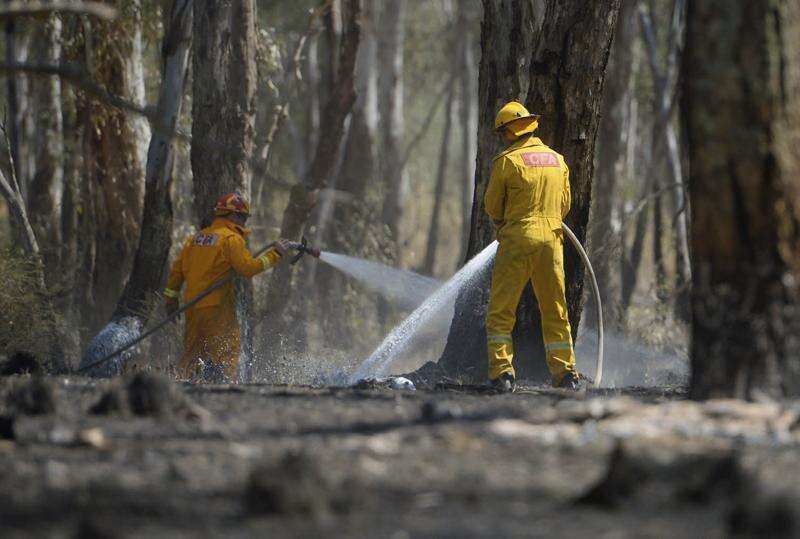 Bushfire reduction program under way | Shepparton News