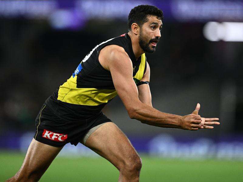 AFL fan banned for touching Pickett during Tigers' game | Dairy News ...