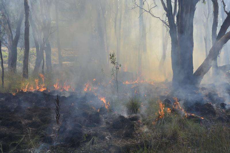 $22.5 million to bring traditional fire practices back to the bush ...