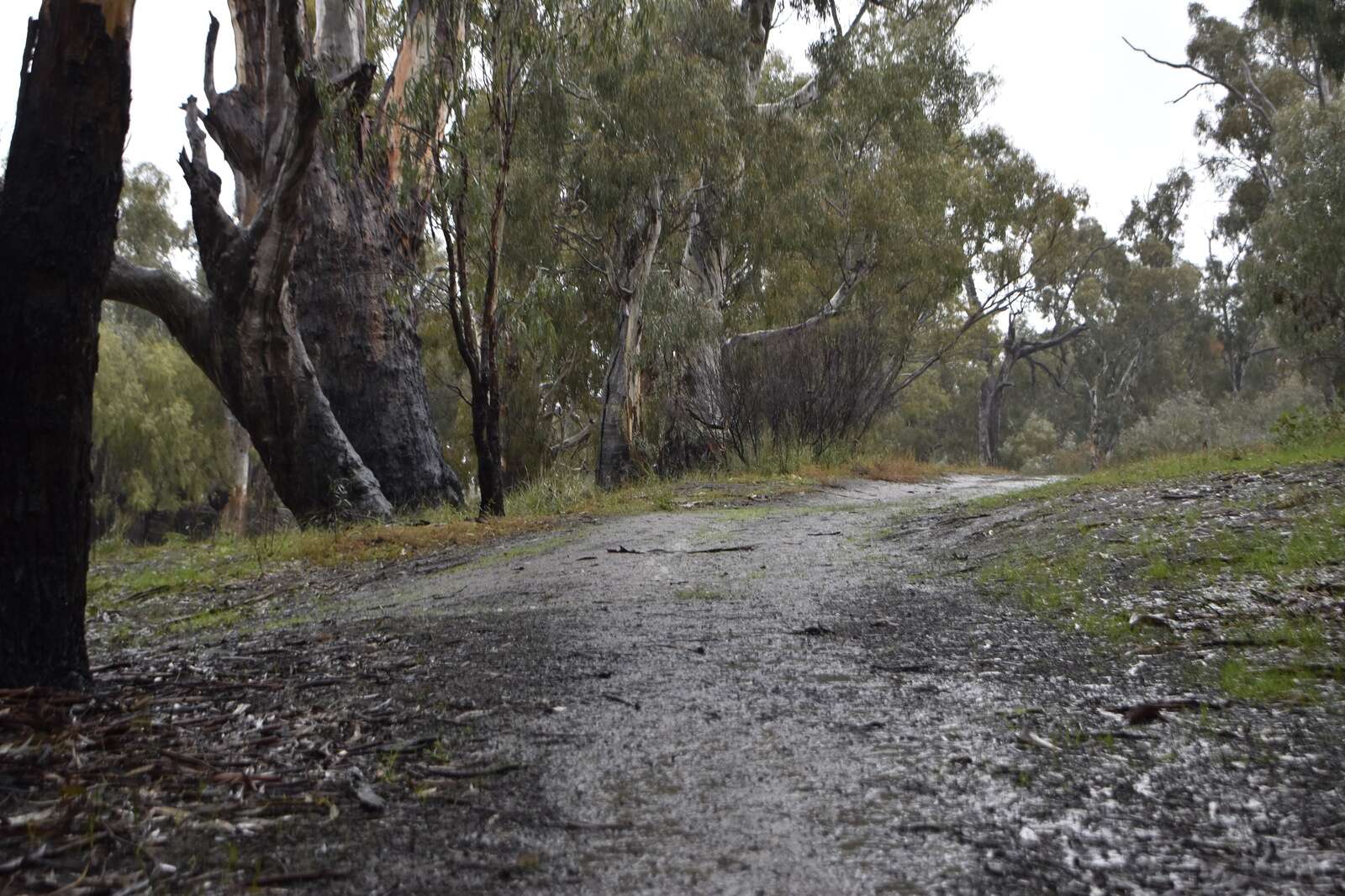 Remember to plan ahead when bushwalking | Riverine Herald
