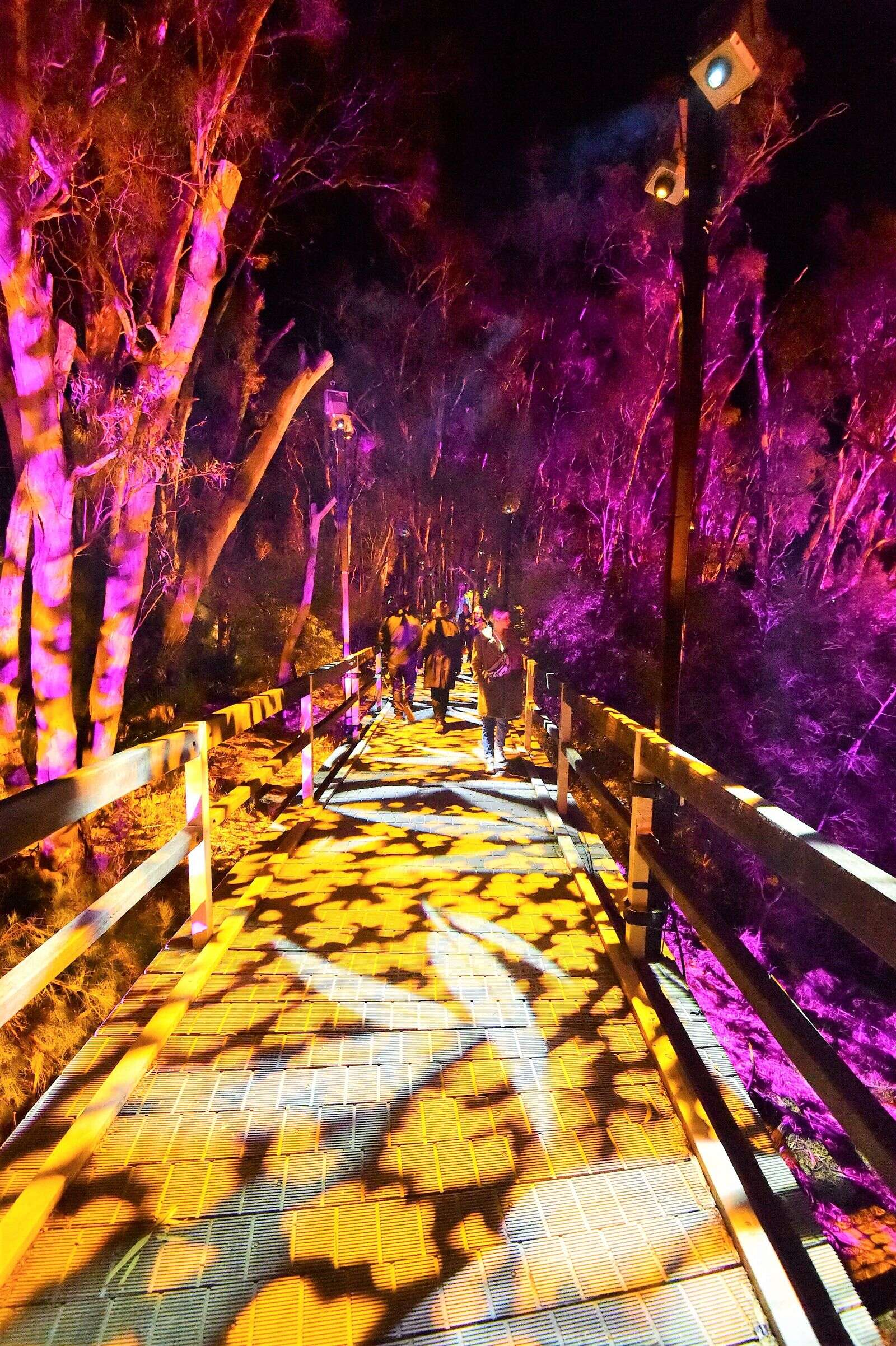 Moama Lights wins Bronze at NSW Tourism Awards | Cobram Courier