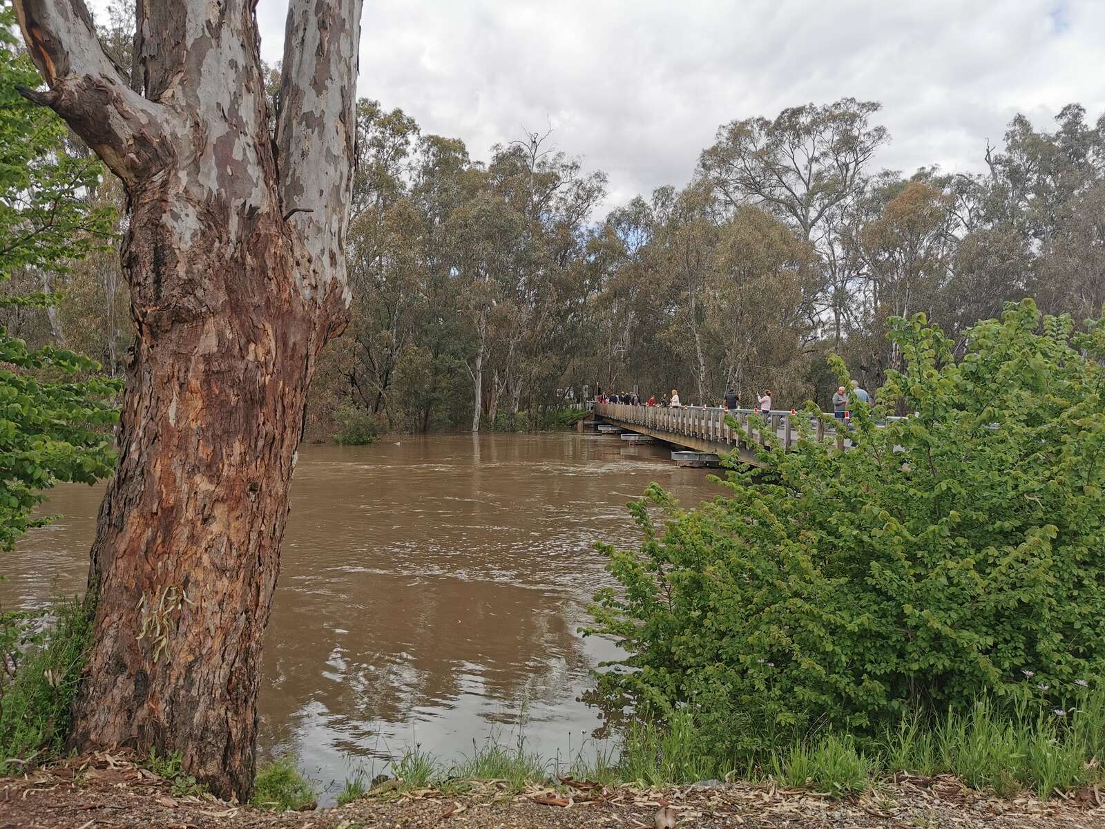 Evacuation orders: Mooroopna, Kialla West, Orrvale, Shepparton, Echuca ...
