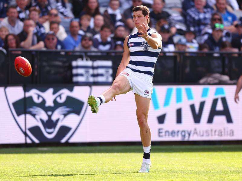 Remodelled Cats AFL attack thriving: Cameron | Dairy News Australia