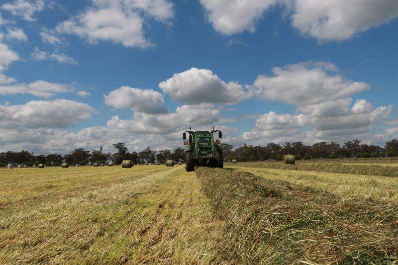 Quality hay takes knowledge, patience and experience | Country News
