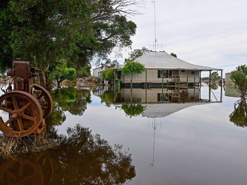 Vic flood threat continues as rivers peak | Country News