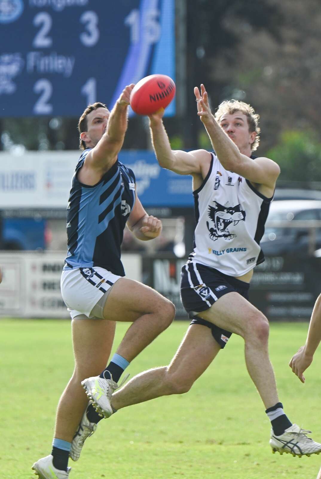 Tonny survives war with Finley | Deniliquin Pastoral Times