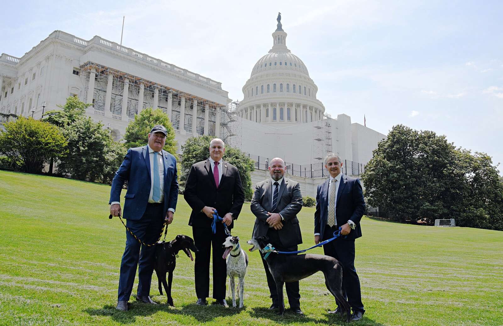Aussie greyhounds US bound | Country News