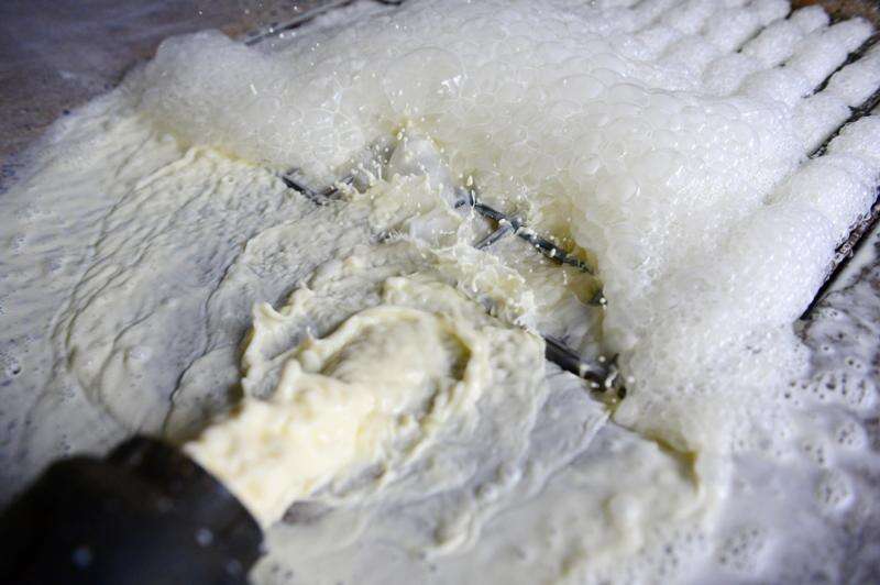 Dairy industry plans to halve food waste | Country News