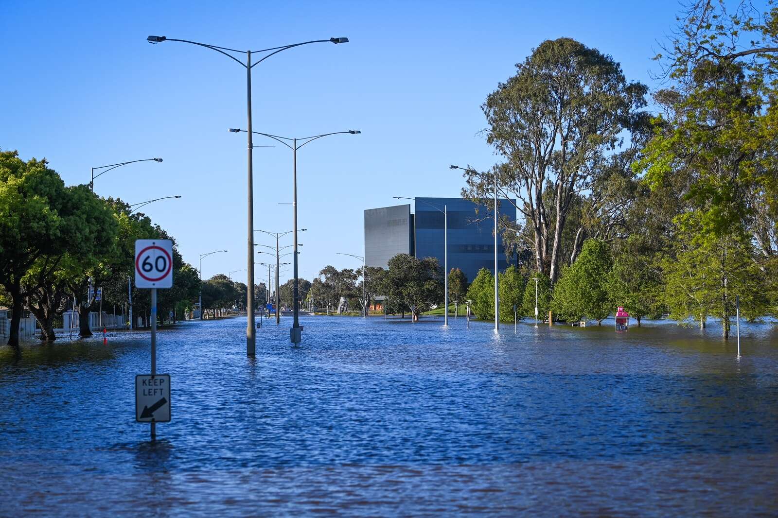 Goulburn River finally drops below flood level at Shepparton | Country News
