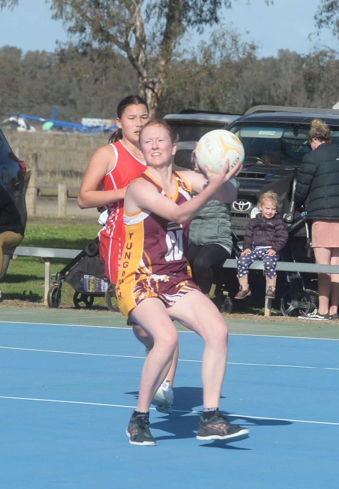 Bears claim wins across the court | Shepparton News