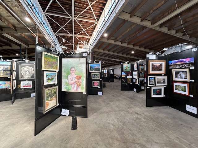 Art Beyond the Divide: A stunning showcase in a unique venue | Shepparton News