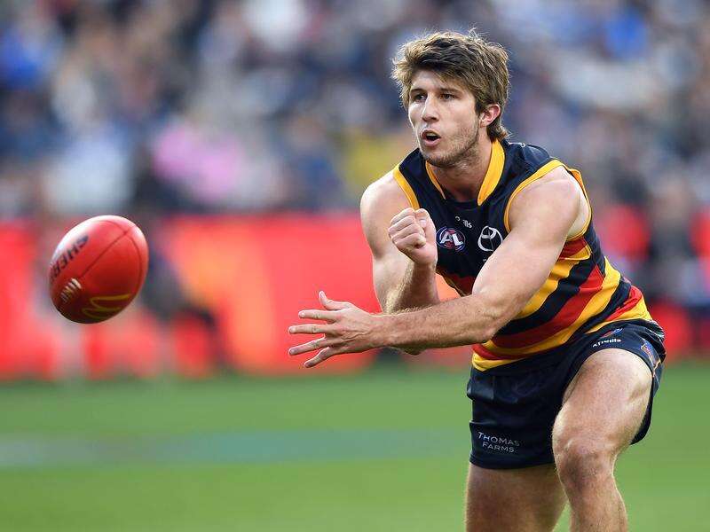 Adelaide lose key defender for clash against Essendon | Dairy News ...