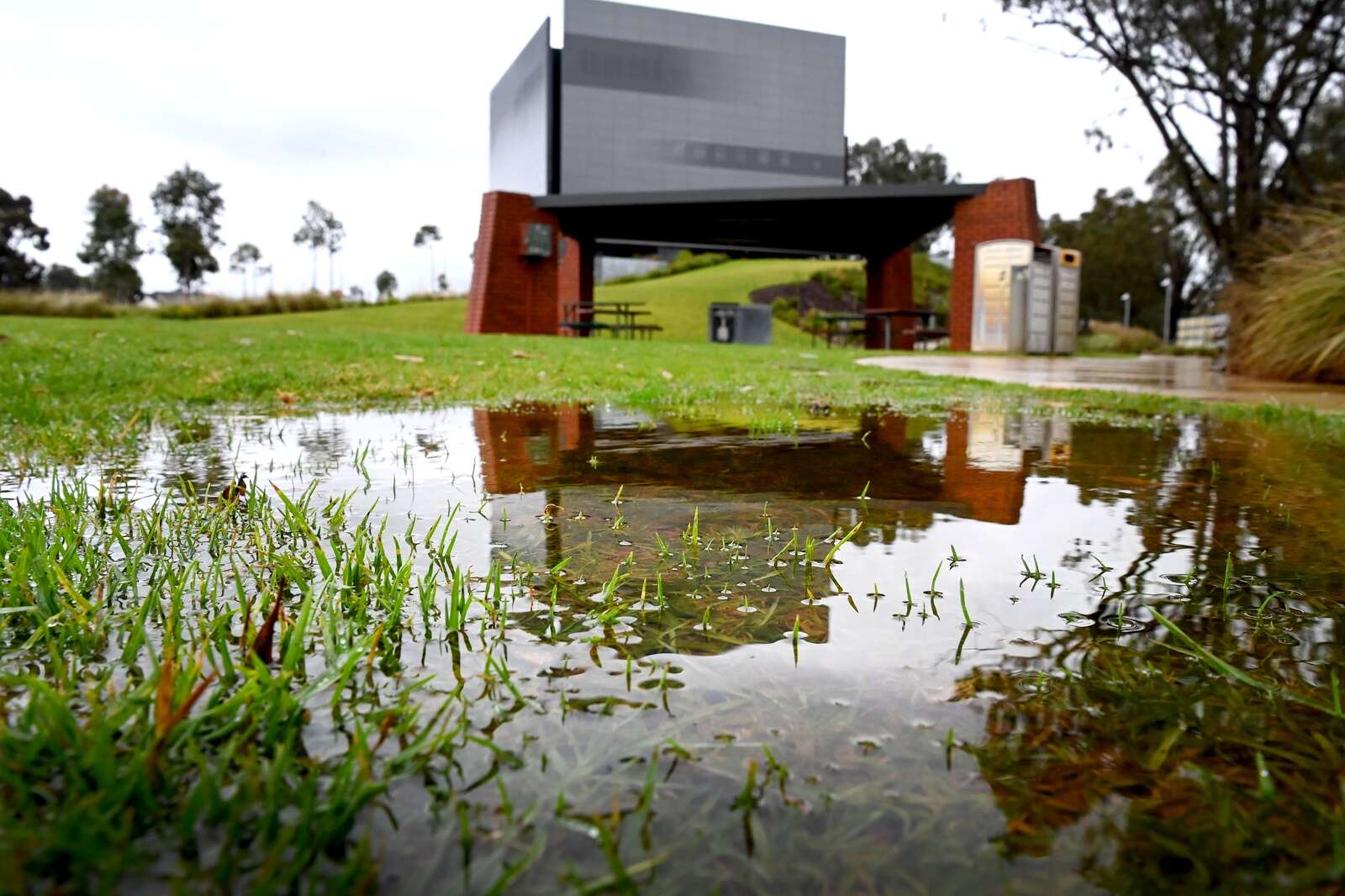 Wet weather sets in across the Goulburn Valley | Shepparton News