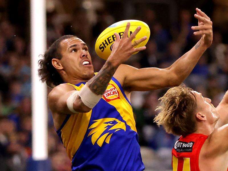 Fans turn away in droves as Eagles crash and burn | Country News