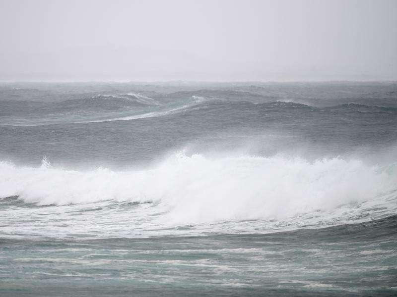 Ex-cyclone Seth causes wild surf in Qld | Country News