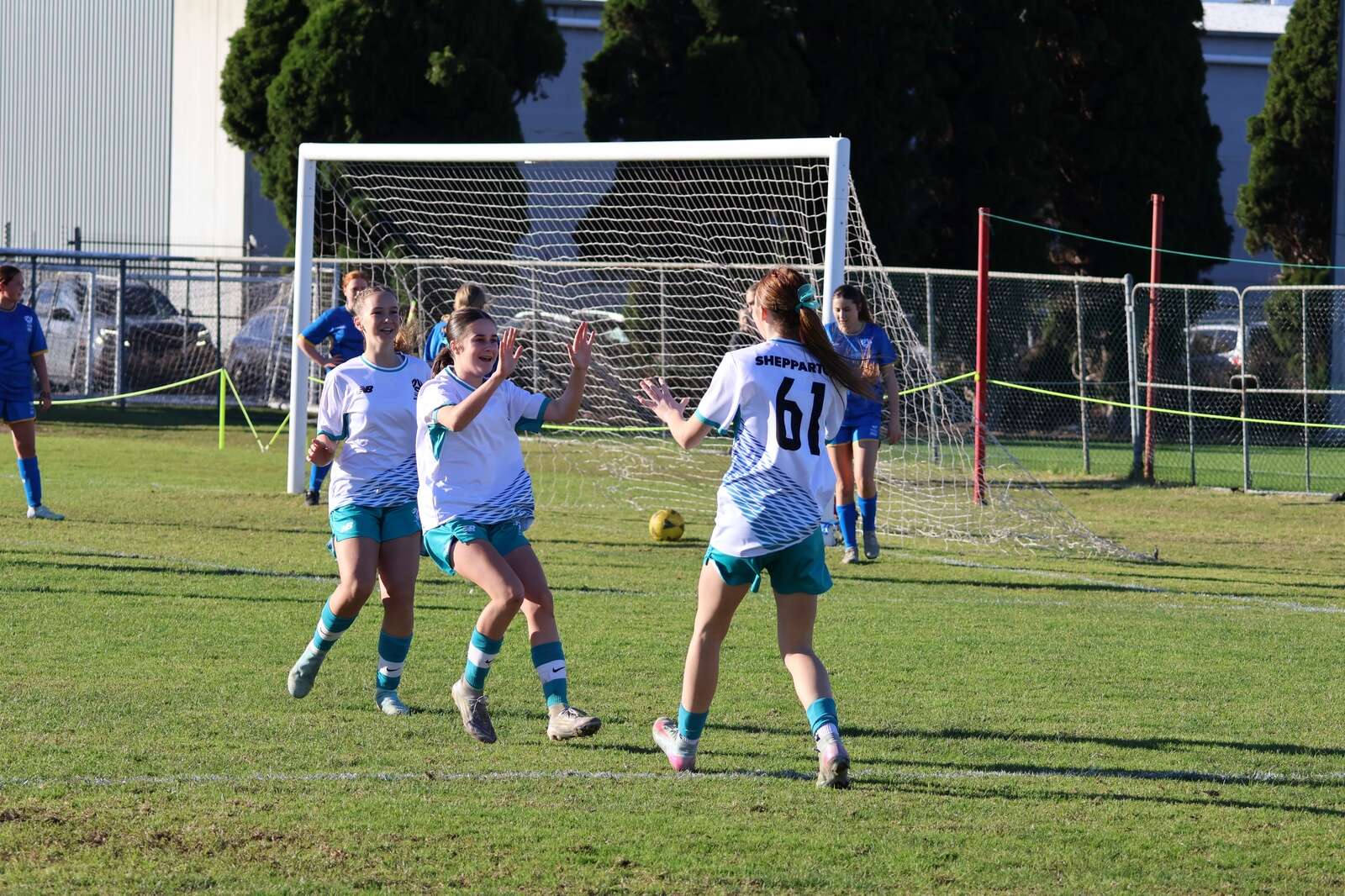 Steely strikers and goalkeeper heroics net FV Shepparton representative ...