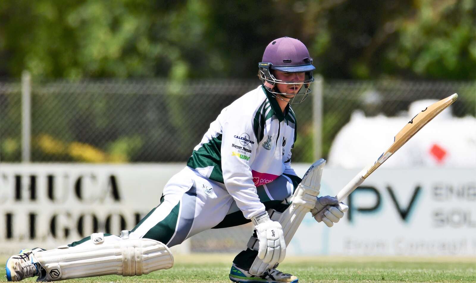 Townrow marks return with century | Country News