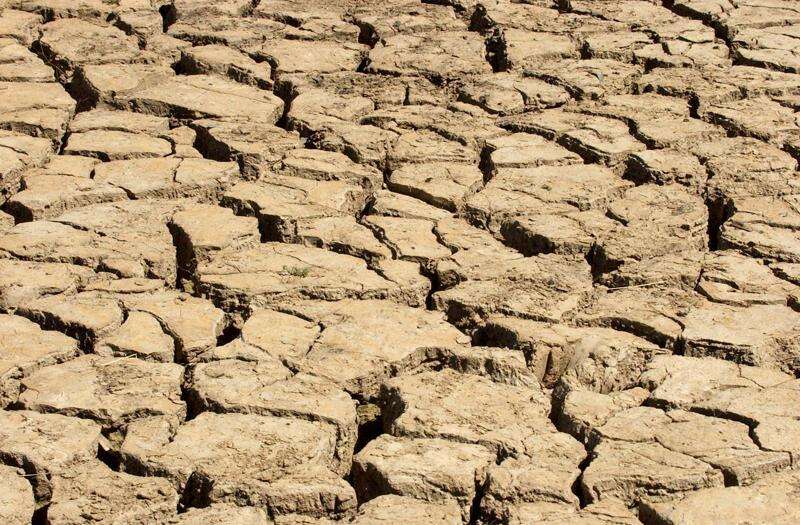 United front against drought | Country News