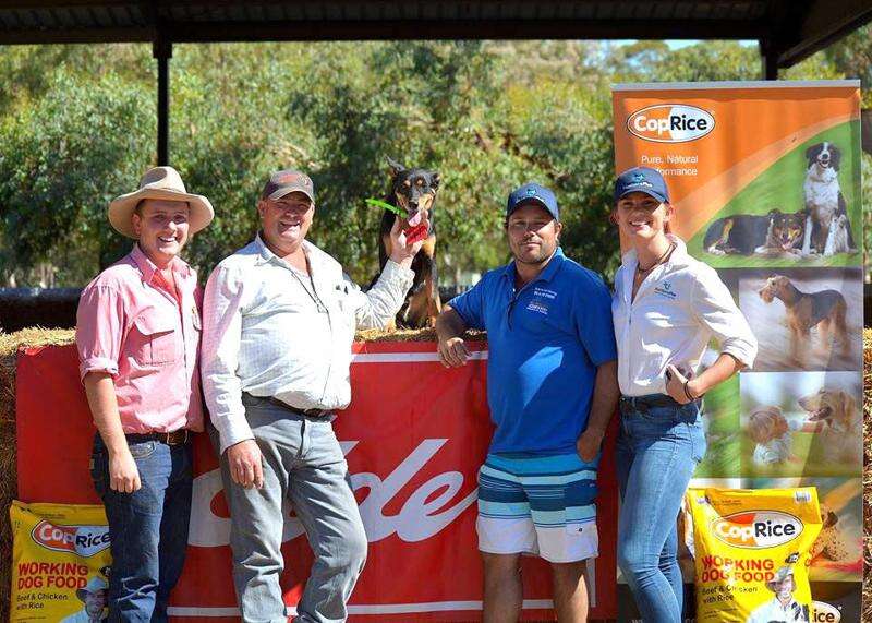 Record breaking dog auction | Deniliquin Pastoral Times