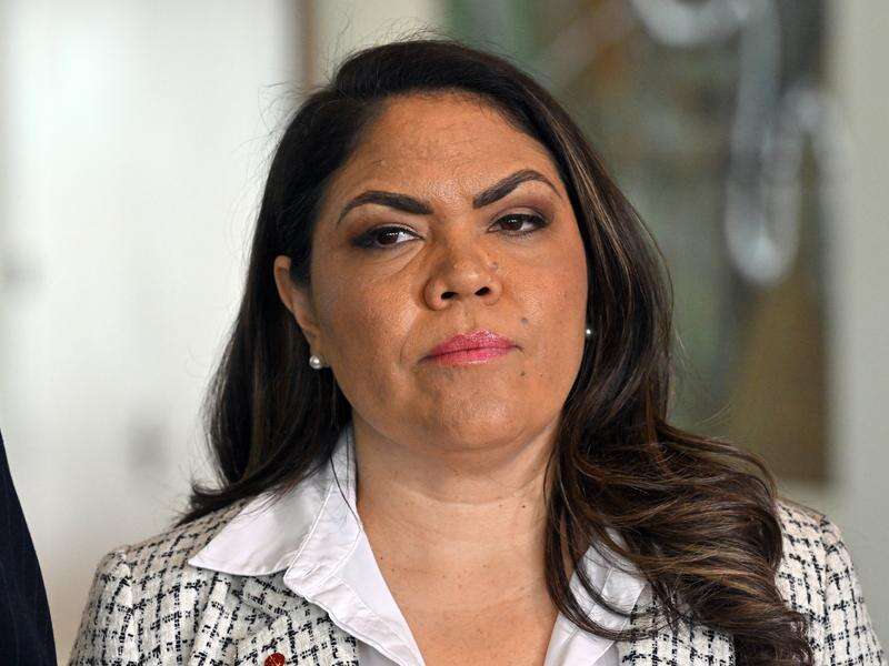 Dutton adds 'Trump-style' government efficiency role | Shepparton News