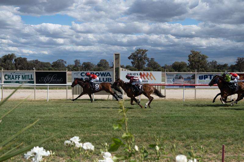 Corowa Race Club Melbourne Cup Eve meeting | Corowa Free Press