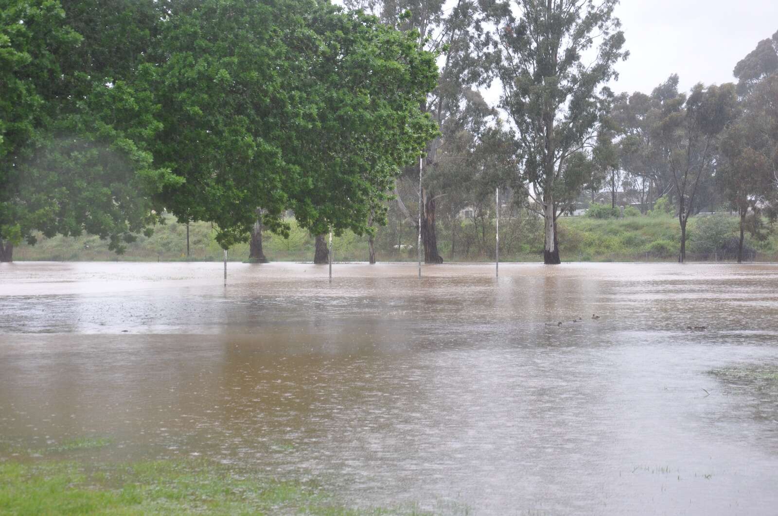 In pictures: Flooding across the Goulburn Valley | Shepparton News