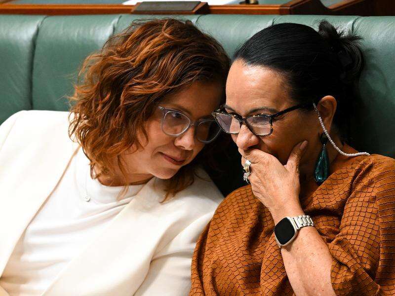 Minister 'not afraid' to receive advice from voice | Country News
