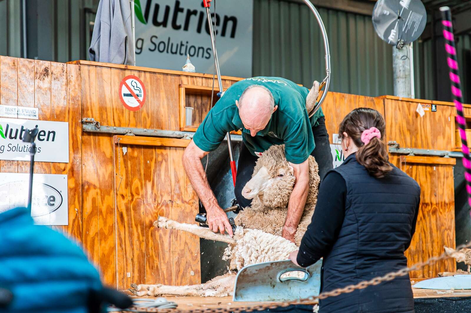 Learn more about shearing with Nutrien | Dairy News Australia