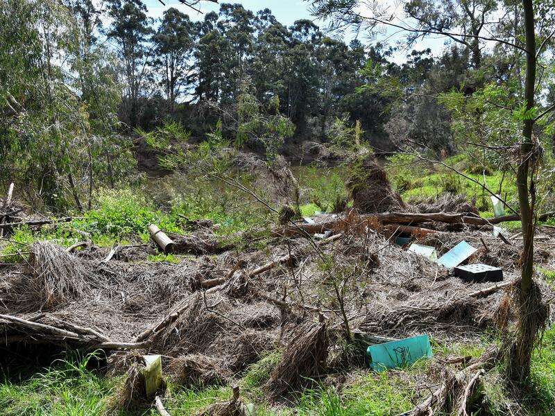 Minister wants to pay landowners to help repair nature | Kyabram Free Press