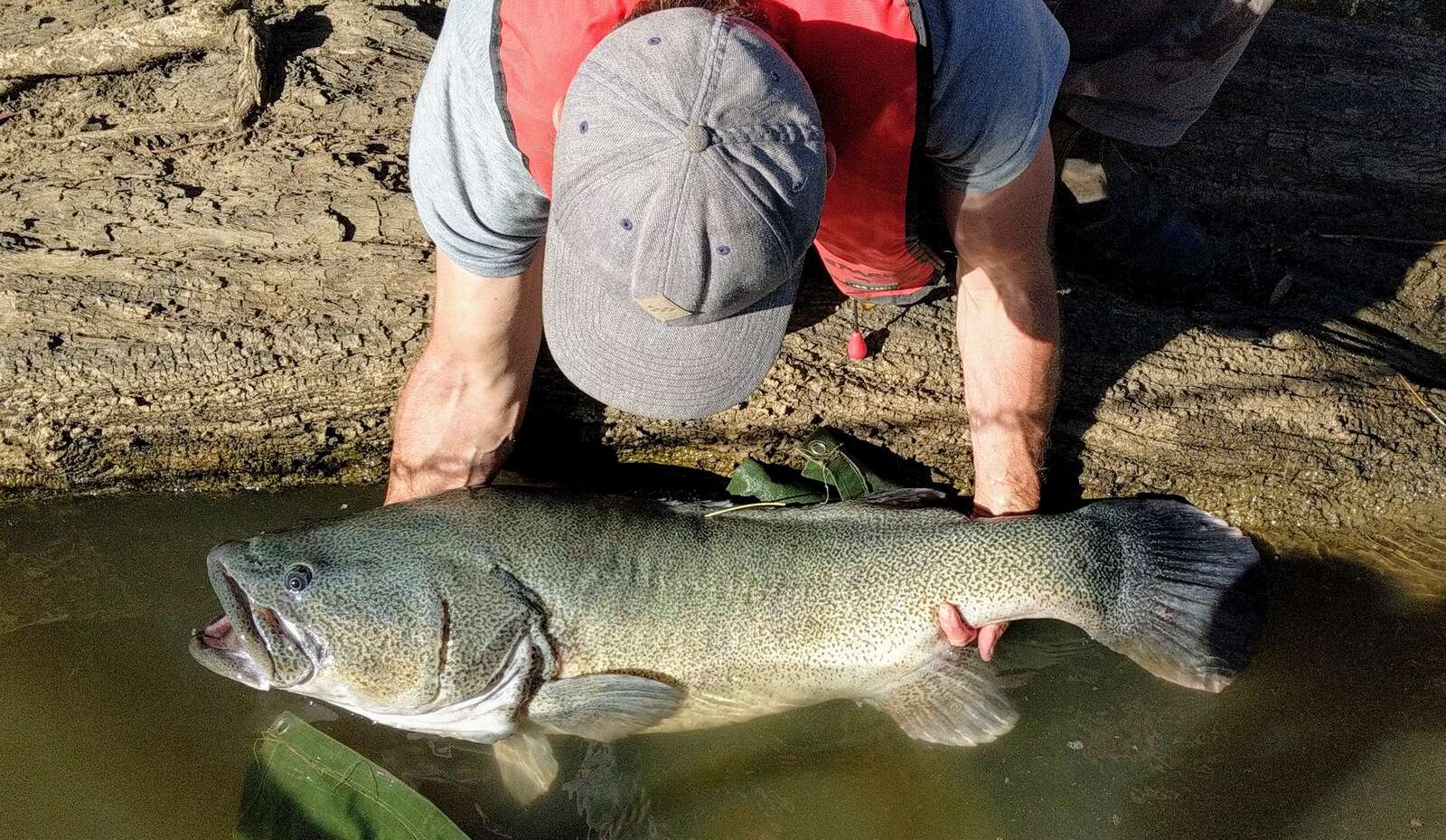 Classic regos still open | Southern Riverina News