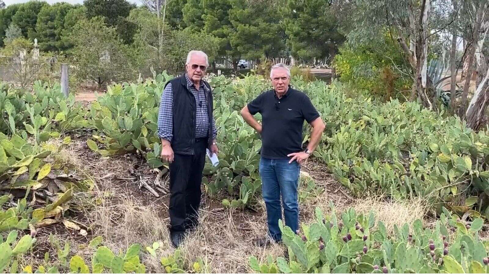 Echuca Cemetery Trust needs Nolan St | Riverine Herald